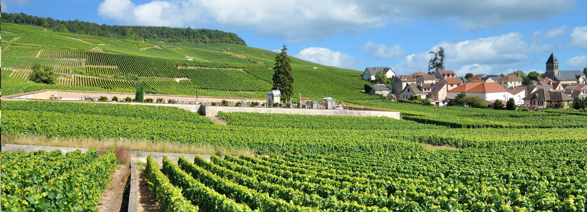 Champagne region bil Frankrike Paris reise tips guide | Paris | Paristips